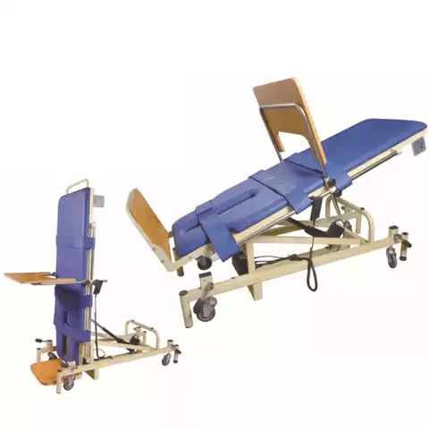 Electronic Tilt Bed - EveryMedical